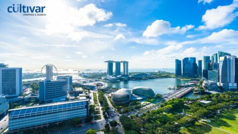 Understanding Work Passes in Singapore: EP and PEP